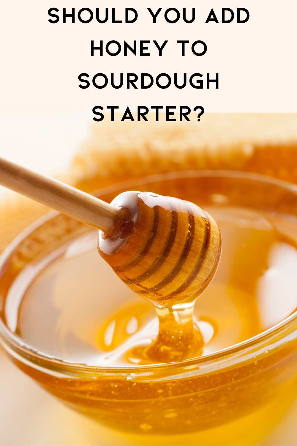 Adding Honey to Sourdough Starter - Rooted At Heart