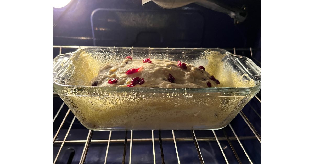 130+ Sourdough Bread Inclusions - Rooted At Heart