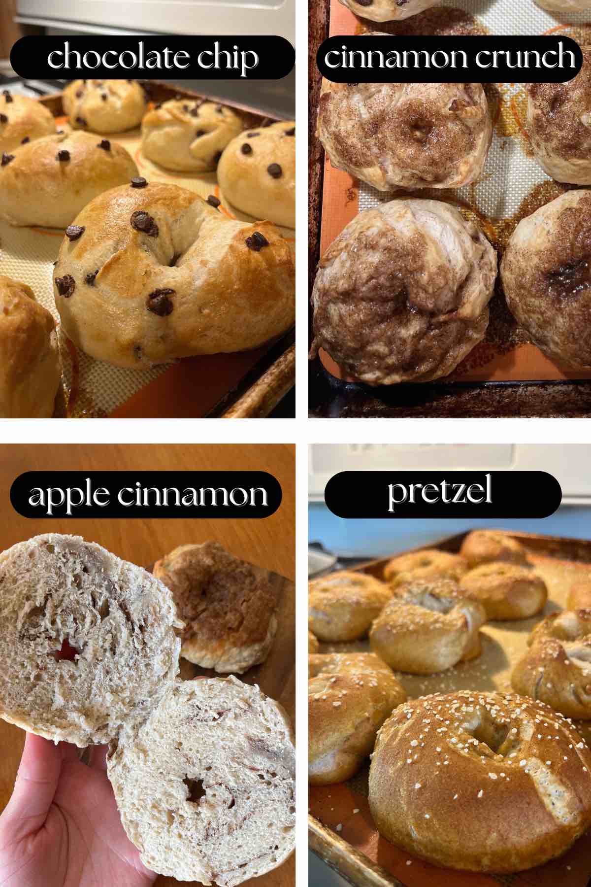 50+ Kid Approved Sourdough Recipes - Rooted At Heart
