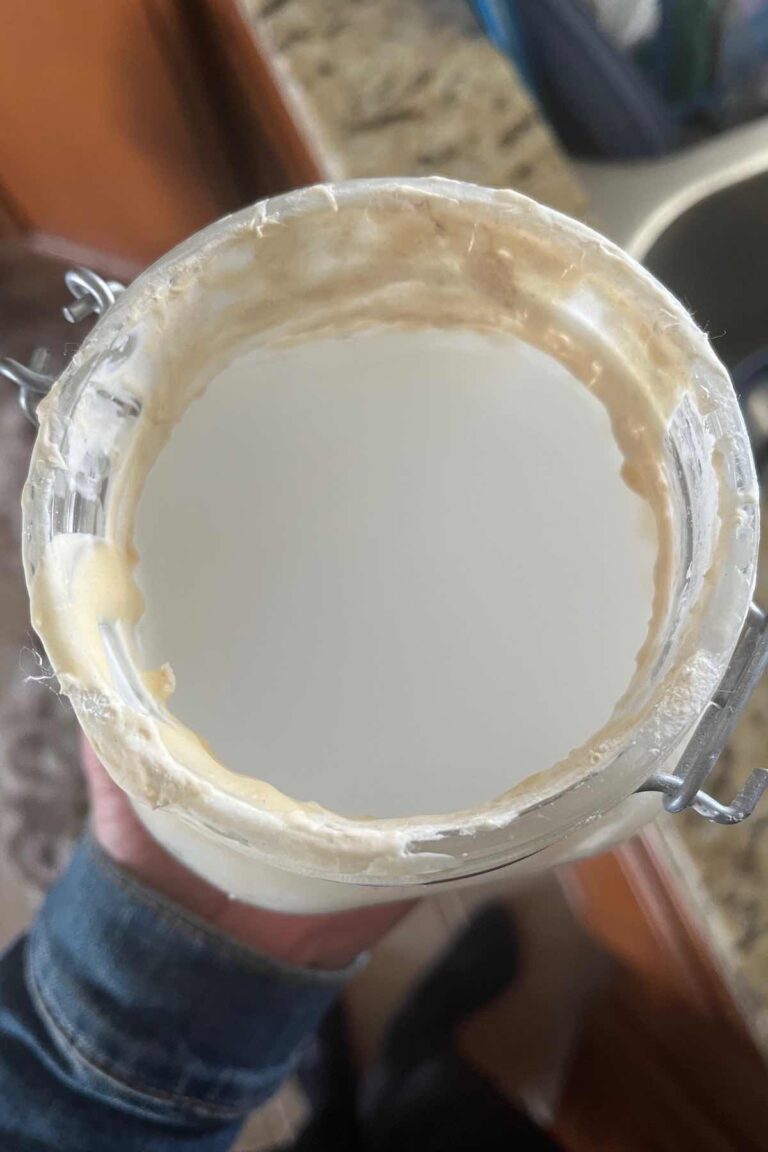 How to clean a sourdough starter jar - Rooted At Heart