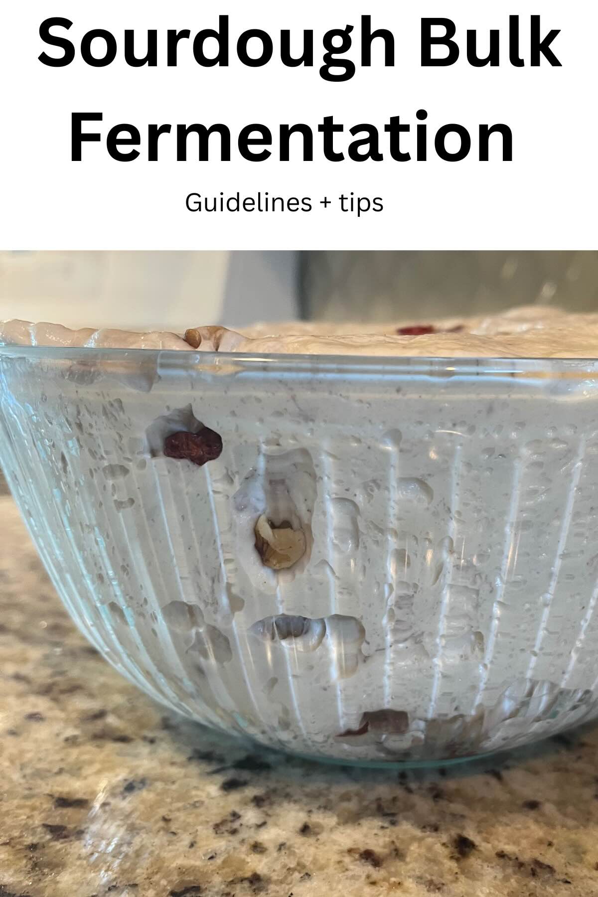 Sourdough Bulk Fermentation Guide (It's easier than you think ...