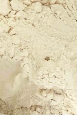 Weevil Bugs in Flour (AKA Flour Bugs) - Rooted At Heart