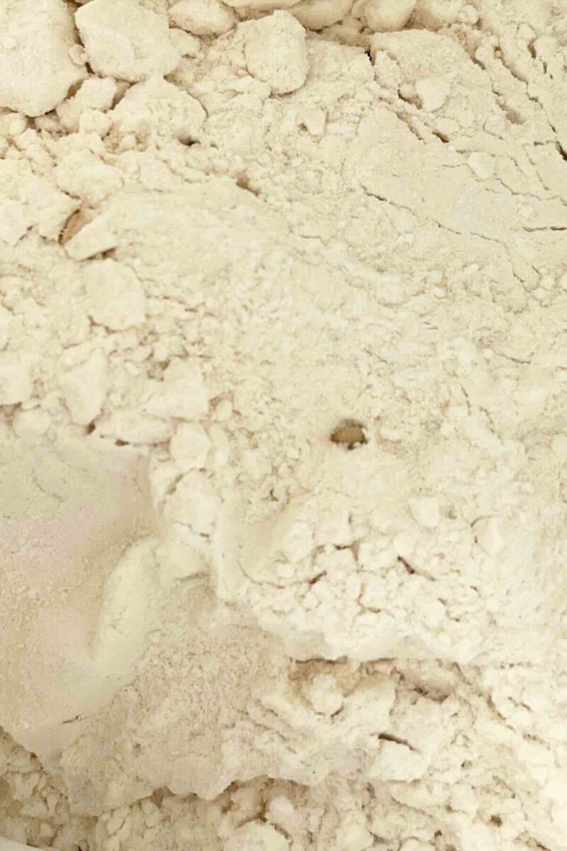 Weevil Bugs in Flour (AKA Flour Bugs) - Rooted At Heart